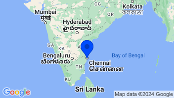 Sun TV Network Limited : Shareholders Board Members Managers and ...